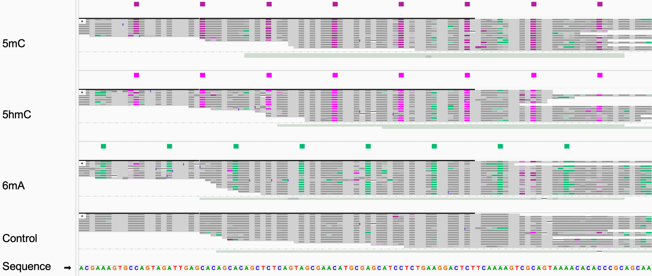 Modified Base Best Practices and Benchmarking | EPI2ME Blog