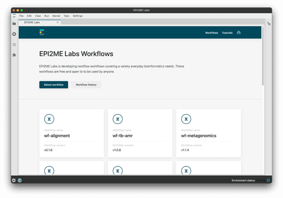 Influenza Workflow | EPI2ME Blog