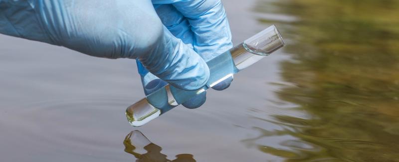 Selecting the correct databases in the wf-metagenomics | EPI2ME Blog