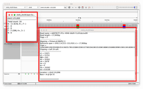 A guide to reviewing BAM files | EPI2ME Blog
