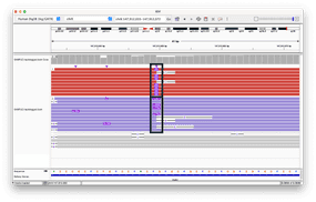 A guide to reviewing BAM files | EPI2ME Blog