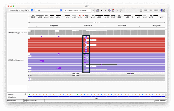 A guide to reviewing BAM files | EPI2ME Blog