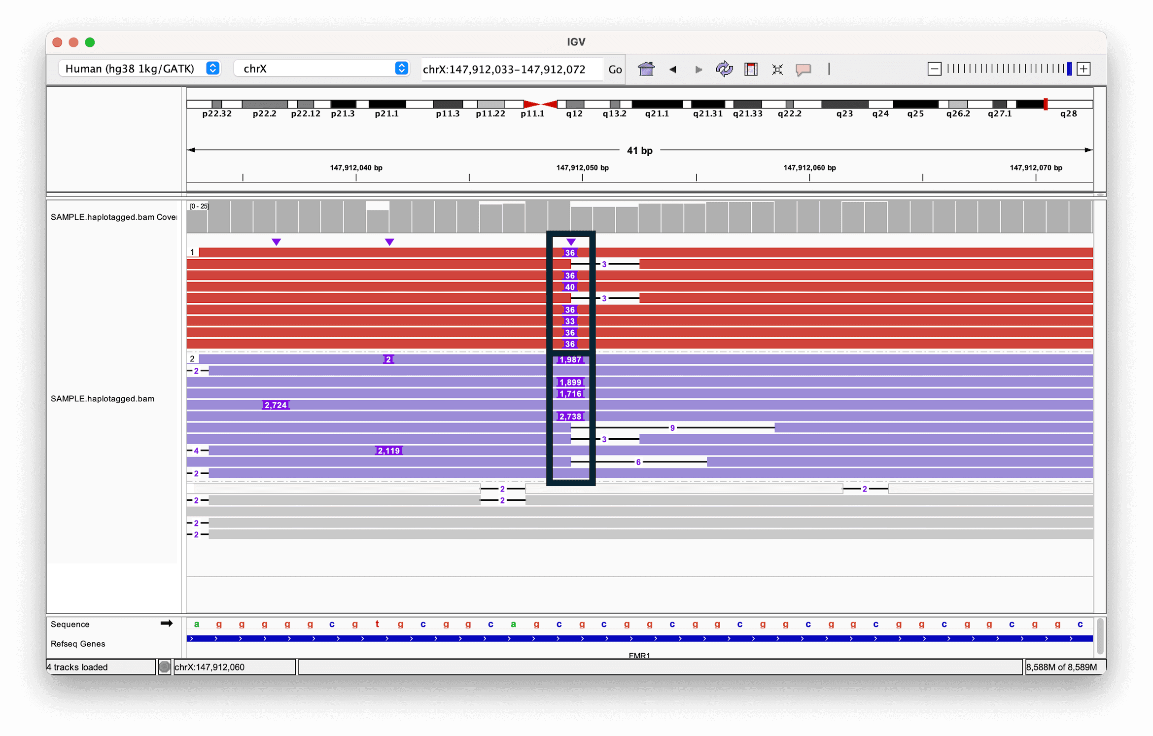 Singularity for bioinformatics | EPI2ME Blog