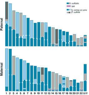 An experimental extremely high-accuracy, ultra-long sequencing kit | EPI2ME Blog
