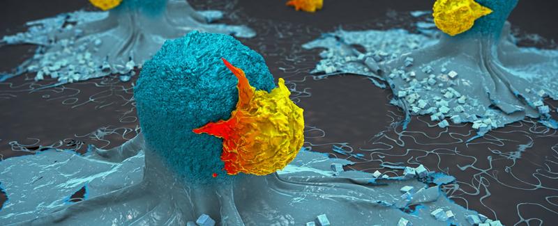 Updated Tumor Normal Pair Benchmark Dataset | EPI2ME Blog