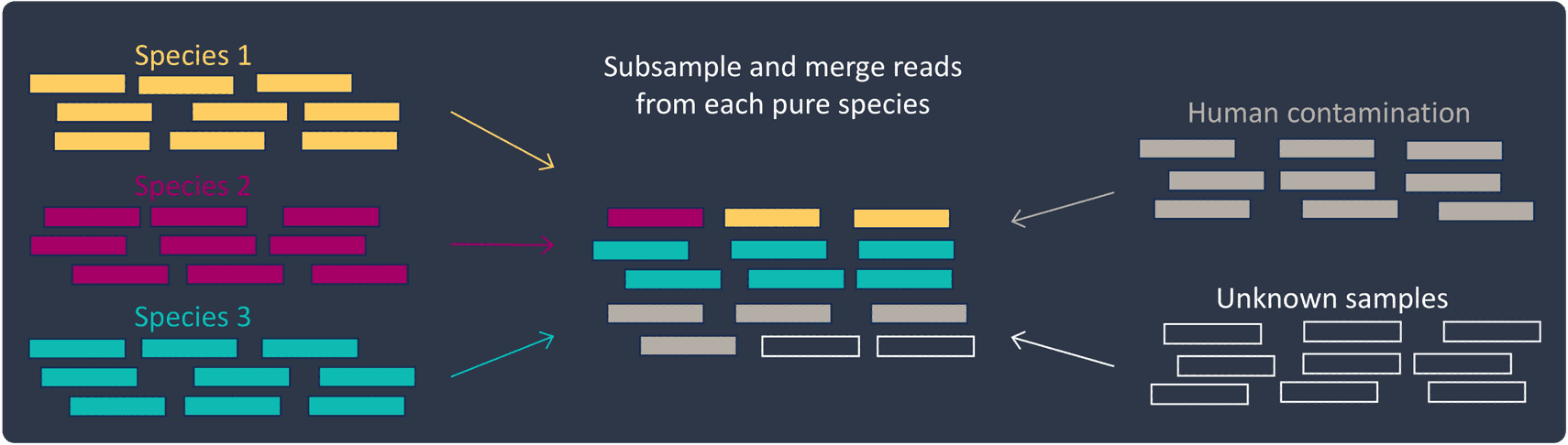 Simulating sequencing datasets | EPI2ME Blog