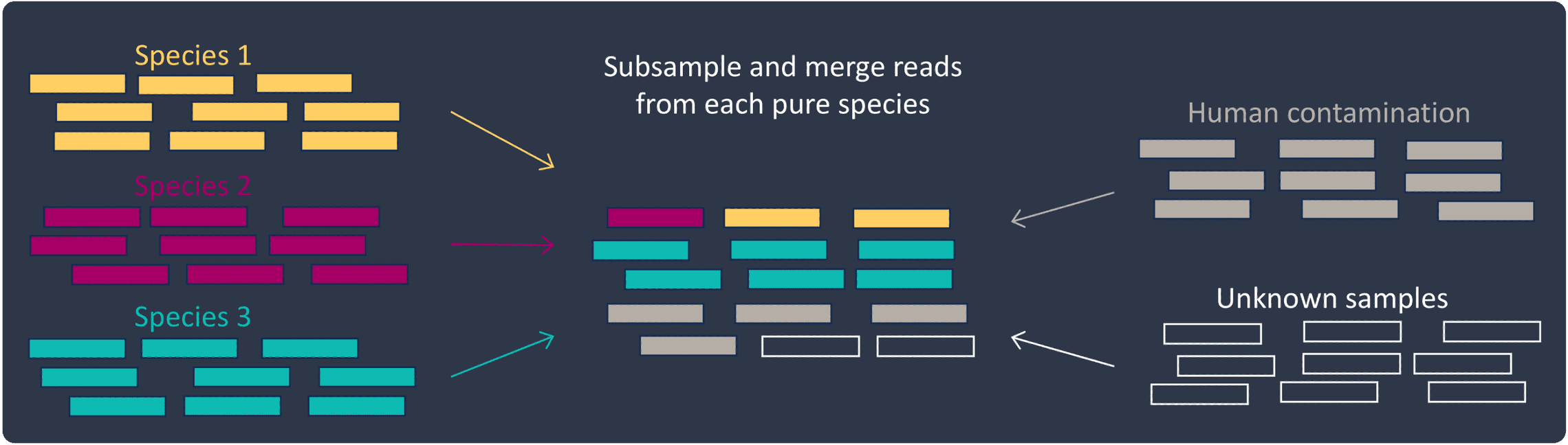 Simulating sequencing datasets | EPI2ME Blog